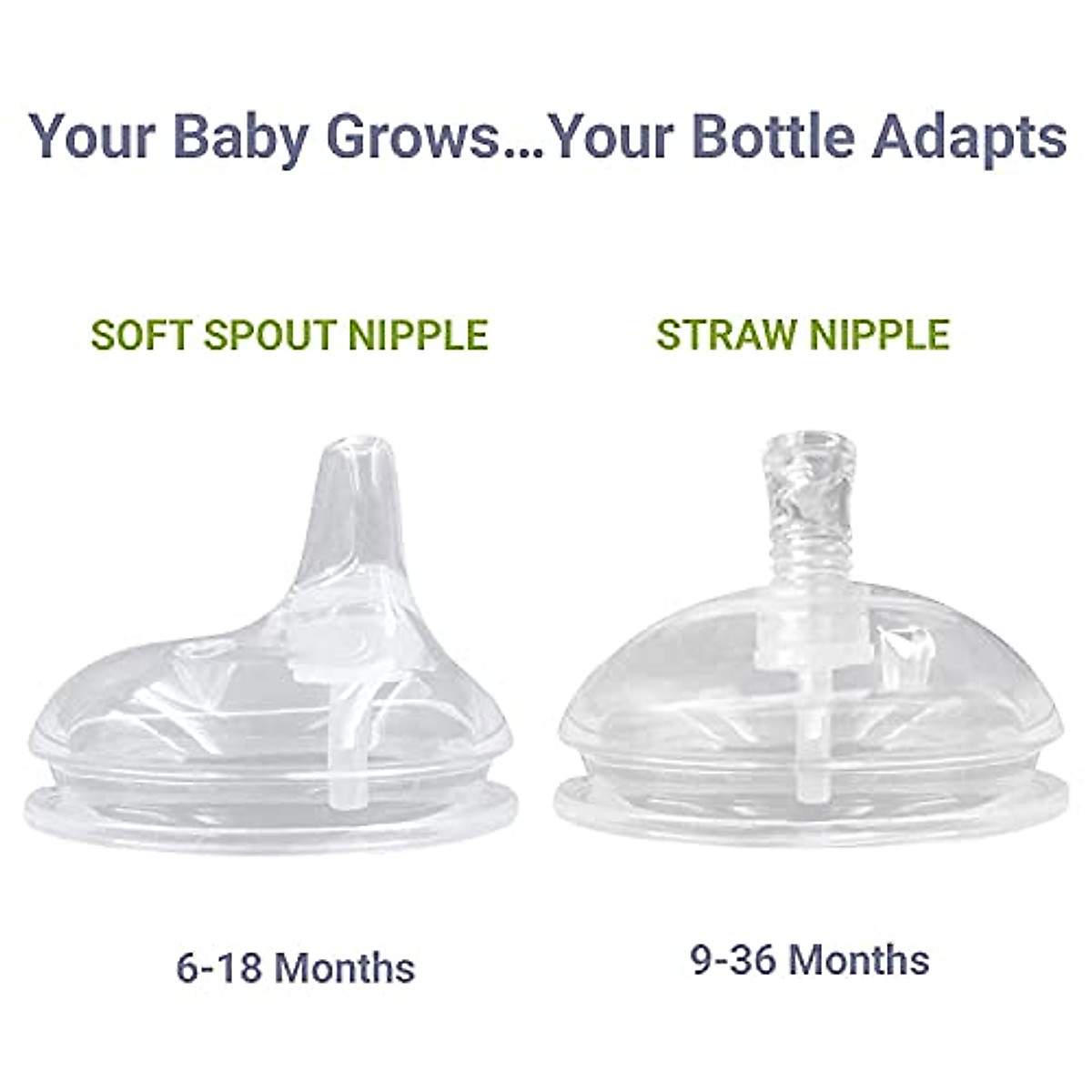 Anpei Straw and Sippy Cup Transitional Nipples Set of 2 with Nipple Storage Case Compatible with Comotomo Baby Bottles, 5 oz and 8 oz
