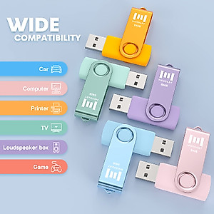 MOSDART 64GB USB2.0 Flash Drive, with Keychain Loop, Swivel Design with LED Light, exFAT Memory Stick for Computers, System Backup, Data Storage, Pastel Color(Pack of 5)