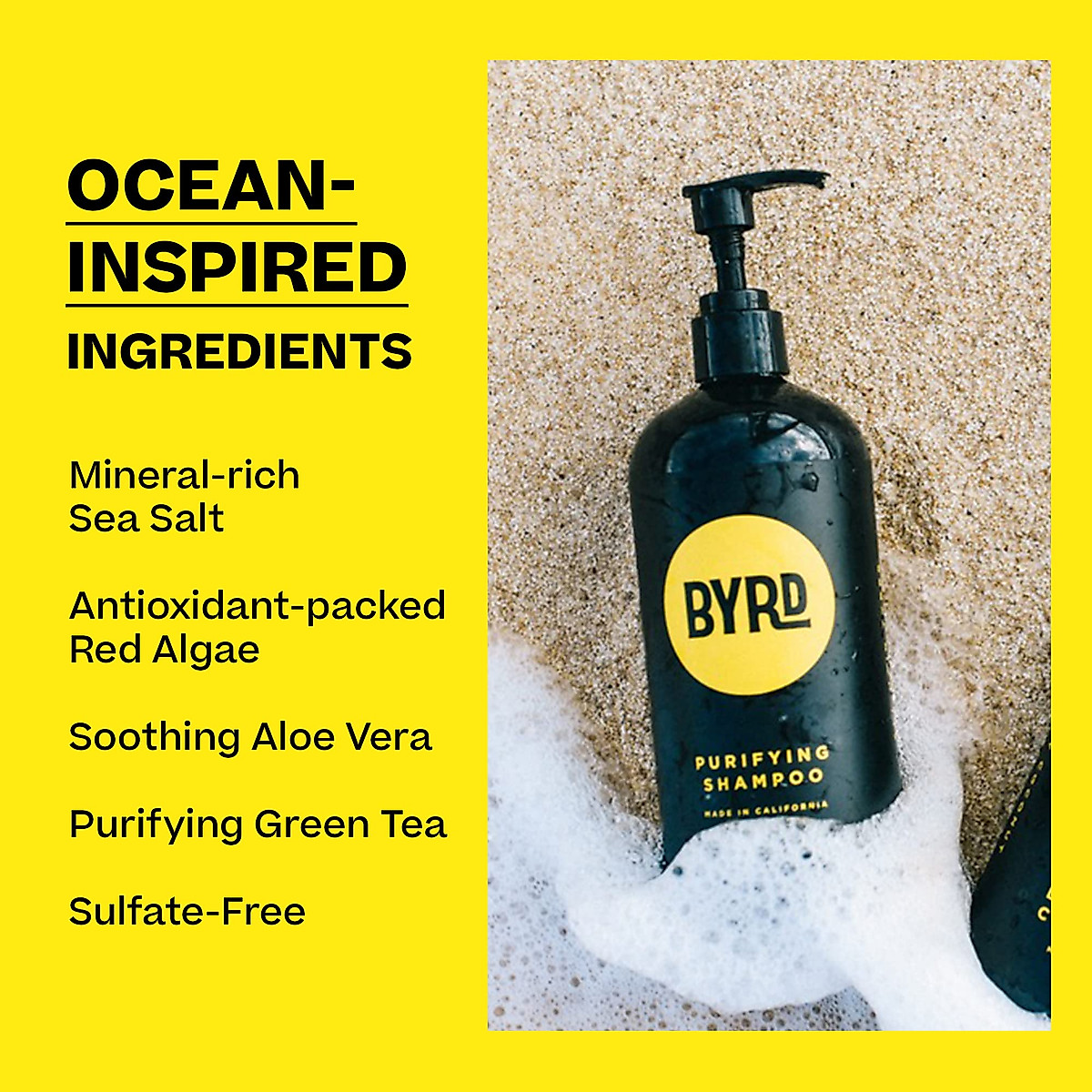 BYRD Purifying Shampoo – Gentle, Sulfate-Free Daily Cleanser, Adds Texture and Volume, For All Hair Types, 16 Oz