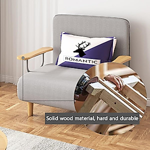 3-in-1 Convertible Sofa Bed Sleeper Chair with Pillow, Folding Versatile Upholstered Armchair,Adjustable Leisure Chaise for Home,Office (Color : D, Size : 100cm)