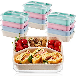 12 Pack Kids Bento Lunch Boxes 4 Compartment Reusable Plastic Meal Prep Containers Divided Food Storage Containers for School Work Travel Lunch Accessory Not Leakproof, 4 Colors