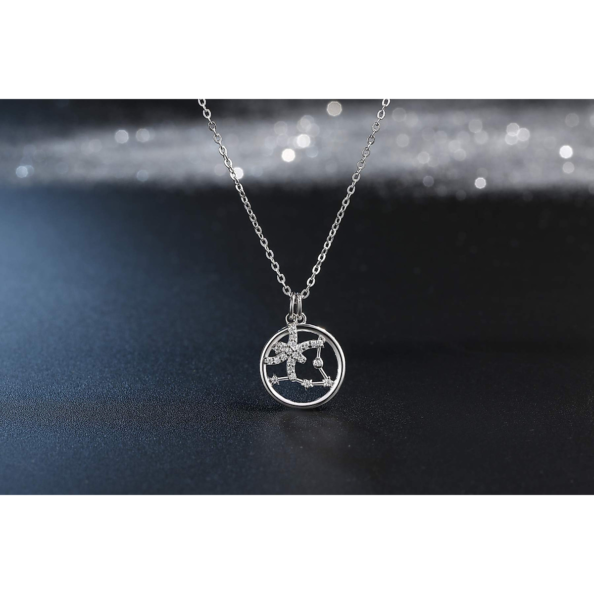 Presentski Pisces Constellation Zodiac Necklace Women Pendant Horoscope Sign Necklaces Birthday Jewelry for Daughter Sister