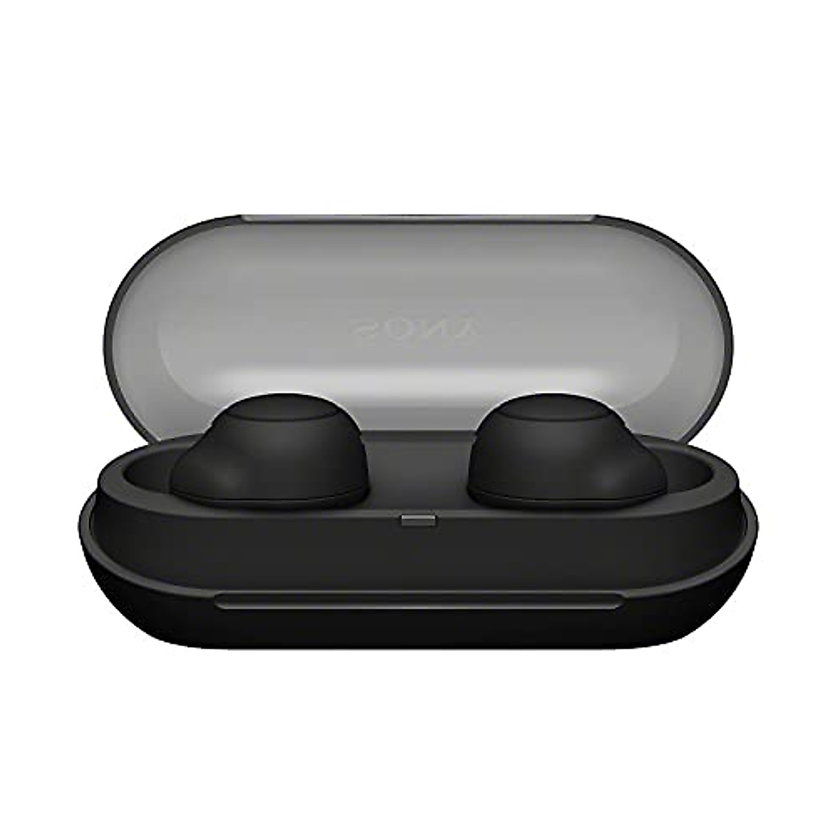 Sony WF-C500 Truly Wireless in-Ear Bluetooth Earbud Headphones (Black) with Earbud Case Bundle (2 Items)
