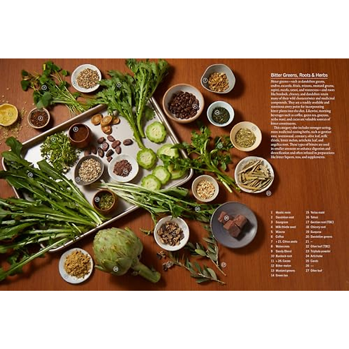 The Plant Medicine Protocol: Unlocking the Power of Plants for Optimal Health and Longevity