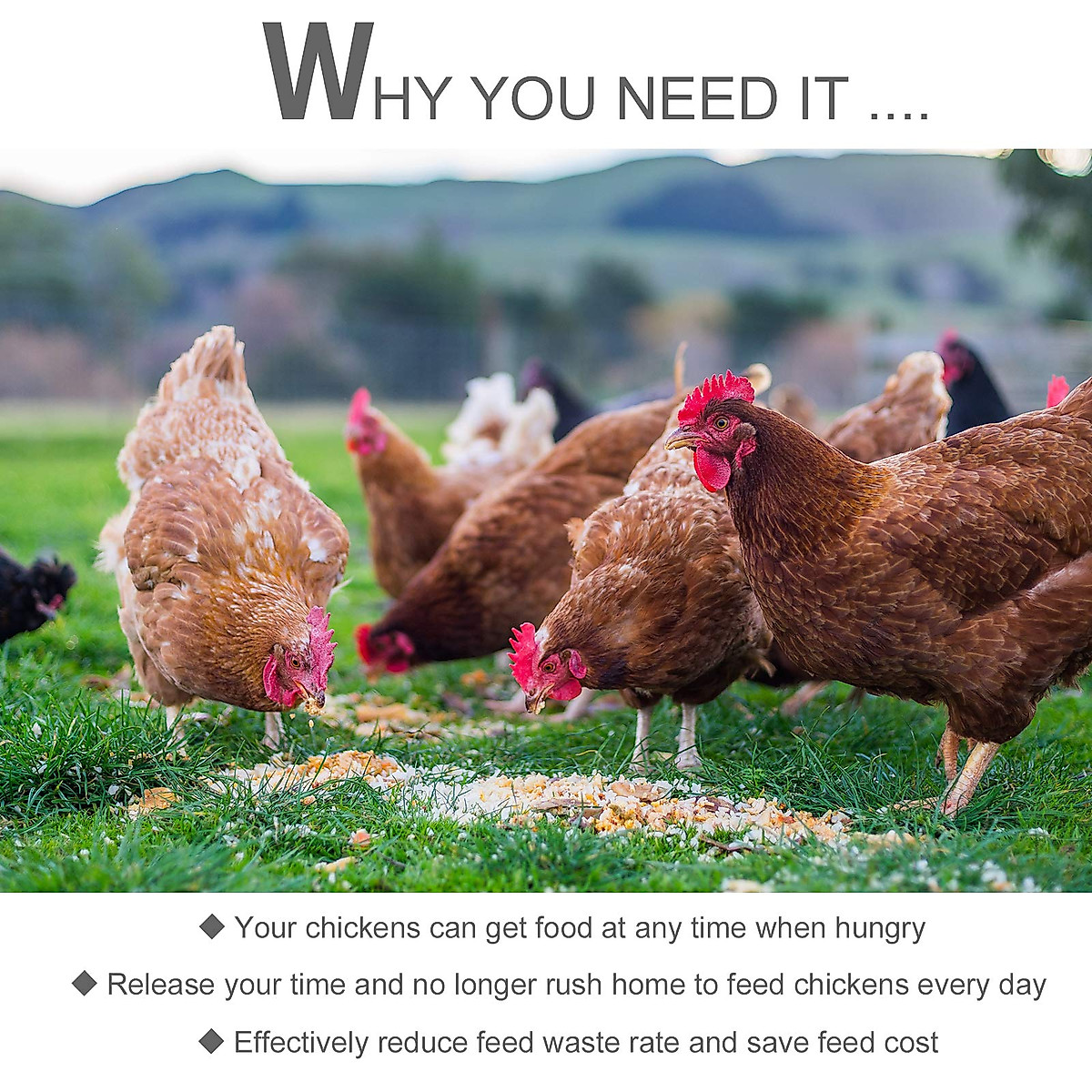 PawHut 30 lbs Capacity Automatic Chicken Poultry Feeder with a Galvanized Steel and Aluminium Build, Weatherproof Design