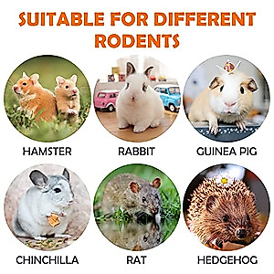 Sofier Timothy Hay Treats Rabbit Toys Bunny Toys Guinea Pig Toys Hamster Toys Natural Chews for Teeth Handmade Rabbit Chews and Treats Chinchilla Rat Gerbil