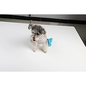 iPetz Dog ChewPod (Large/ExtraLarge)