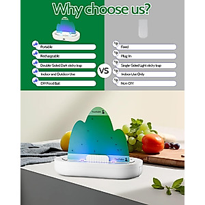 Fruit Fly Traps for Indoor Outdoor, Double-Sided Fly Trap Indoor, Rechargeable Flying Insect Traps with Blue Bug Light, Fruit Fly Traps for Camping, Patio, Garden, Kitchen (1 pcs)