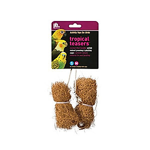 Prevue Pet Products BPV62091 2-Pack Tropical Teaser Coco Bundles Bird Toy
