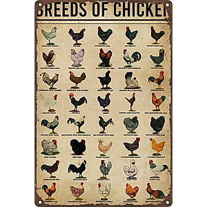 Breeds Of Chickens tin sign,Vintage Chickens art,Chicken Knowledge Metal Tin Sign Breeds Of Chicken Retro Poster School Farm Cafe Bar Bedroom Bathroom Kitchen Home Art Wall Decoration 8x12inch