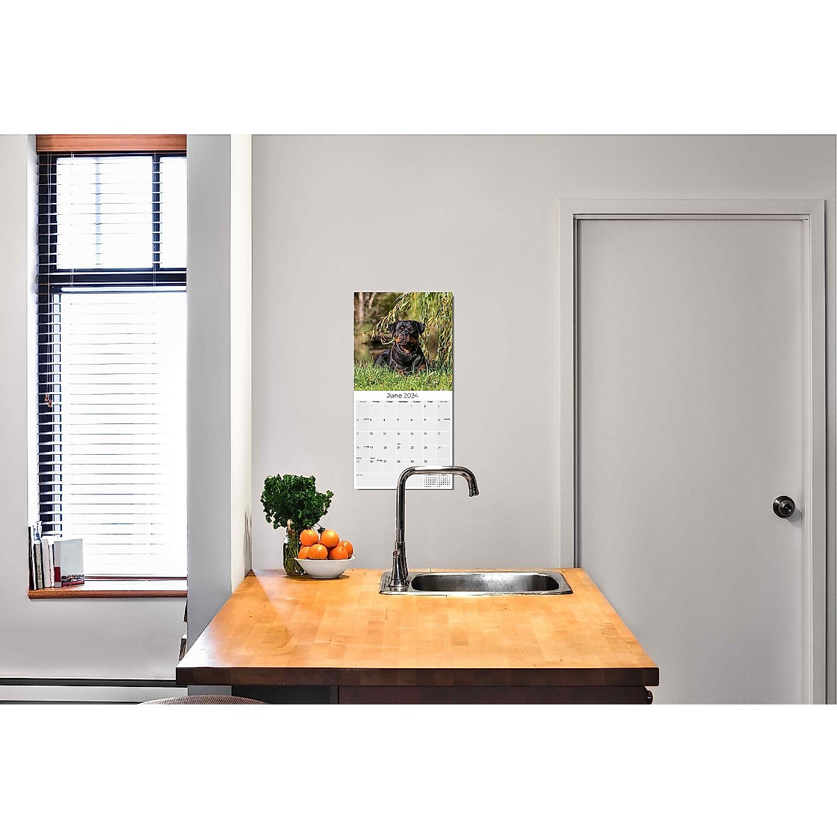 2023 2024 Rottweiler Calendar - Dog Breed Monthly Wall Calendar - 12 x 24 Open - Thick No-Bleed Paper - Giftable - Academic Teacher's Planner Calendar Organizing & Planning - Made in USA