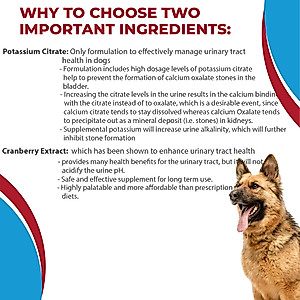 Potassium Citrate Plus Cranberry Supplement for Dogs (100 Tablets) - Urinary Tract Support-Helps Deter Formation of Calcium Oxalate Stones - Deters Bladder & Kidney Stones (Made in U.S.A)