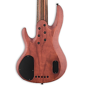 ESP LB1005SEBNS-KIT-1 B Series B-1005SE 5-String Electric Bass Guitar, Natural Satin