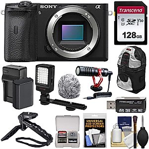Sony Alpha A6600 Mirrorless Digital Camera Body with 128GB Card + Battery & Charger + Backpack + Grip/Tripod + Video Light + Mic + Kit