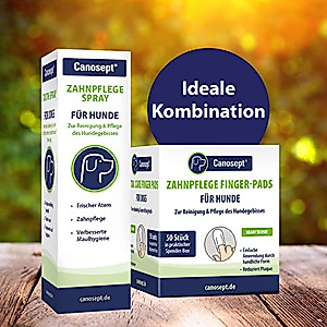 Canosept Dental Care Finger Pads for Dogs 50 Pads - Dog Teeth Cleaning Product for Dental Care and Oral Hygiene - Dog Breath freshener - Plaque Off Dogs