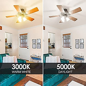 Energetic 100W Equivalent, A19 LED Light Bulb, Warm White 3000K, E26 Base, Non-Dimmable, 1600LM, UL Listed, 4-Pack