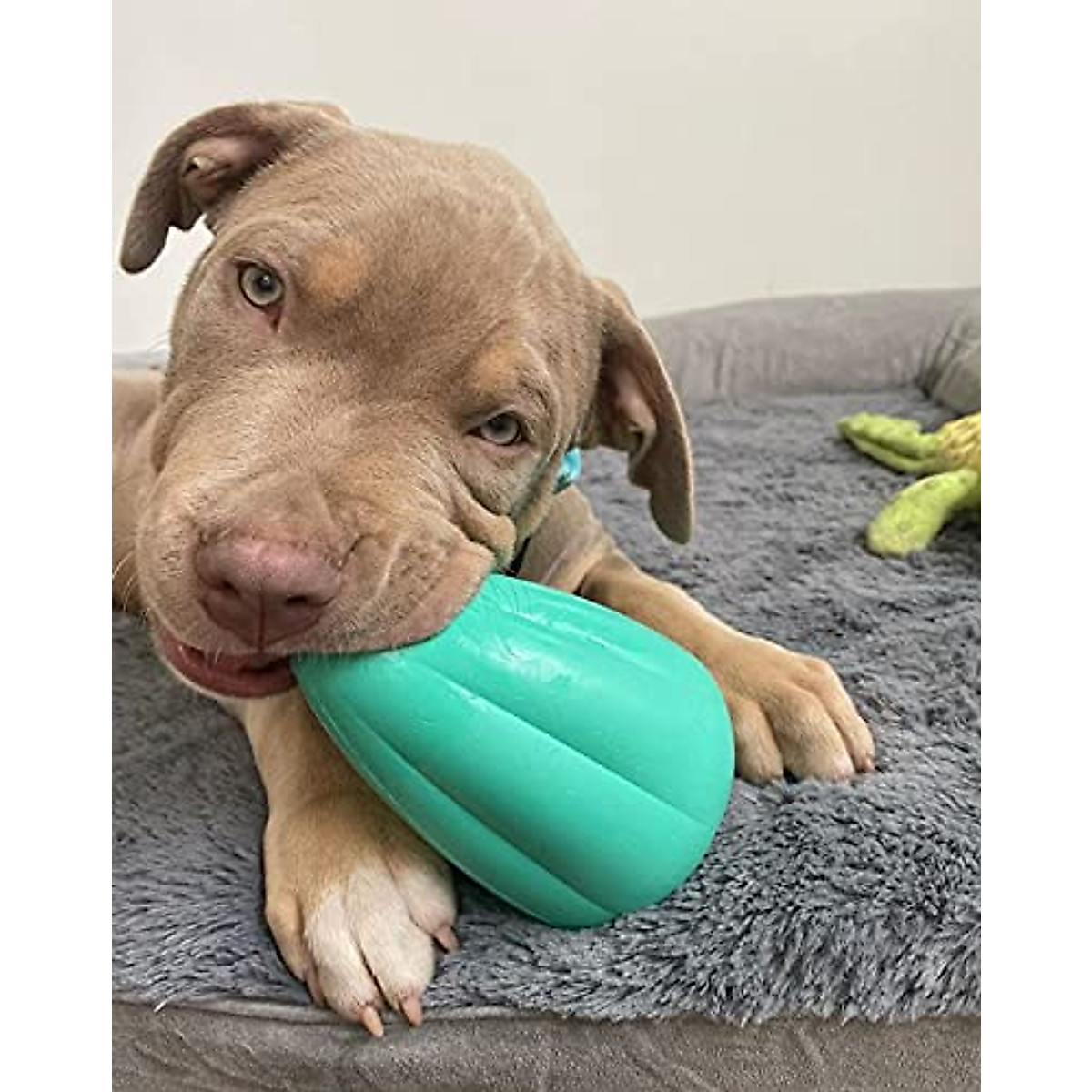 Chew King Premium Treat Dog Toy, L, Extremely Durable Natural Rubber Toy, Pack of 2, All Breed Sizes