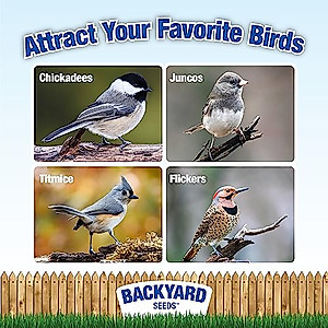 Sunflower Chips Medium Sized Shelled No Waste Bird Seed (50 Pounds)