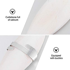 Balacoo 12pcs Bird Cuttlebone for Parakeets Natural Cuddle Bone with Metal Holder Chewing Cuttlefish Bone for Sharp Beaks Natural Birds Calcium Suitable for Parrot Cockatiels White