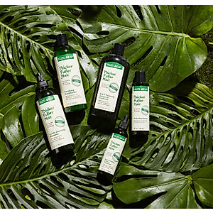 Thicker Fuller Hair Gentle Cleansing Shampoo - Hair Thickening, Clarifying Shampoo - Lightweight, Gentle Shampoo Formula - Natural Ingredients - 12 oz