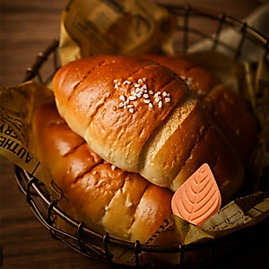 QEBIDVL 5 Pcs Premium Brown Sugar Keeper Brown Sugar Saver Keeps Brown Sugar Soft or Dry Terra Cotta Brown Sugar Saver for Keeping Food Moist Fresh