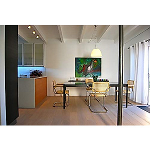 Marcel Breuer Cesca Cane Chrome Arm Chair in Honey Oak