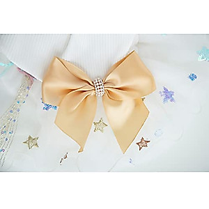 Dog Cute Dress Lace Tulle Tutu Outfit Skirt with Beautiful Stars Embroidery for Small Medium Girl Dogs Christmas Holiday Wedding Birthday Party (White Star, XL)