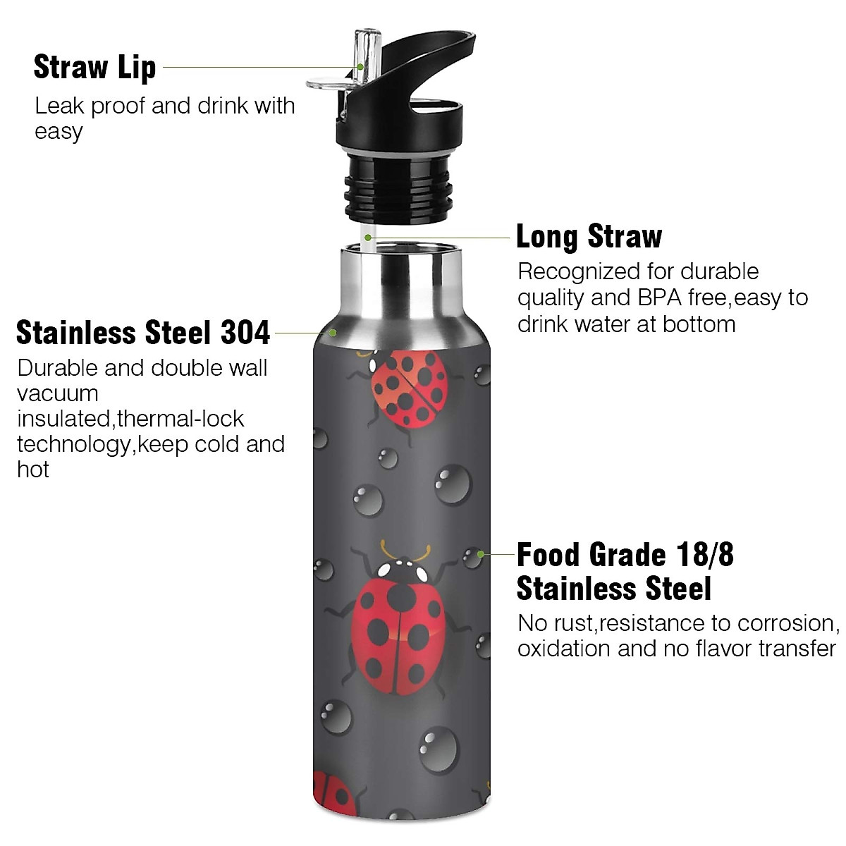 WELLDAY Water Bottle Ladybugs Double Wall Vacuum Insulated Flask Stainless Steel with Straw Lid 20oz