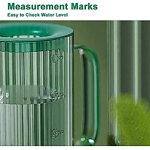 Small Watering Can for Indoor Plants with Long Spout for Flowers, Succulents 34oz(Green)