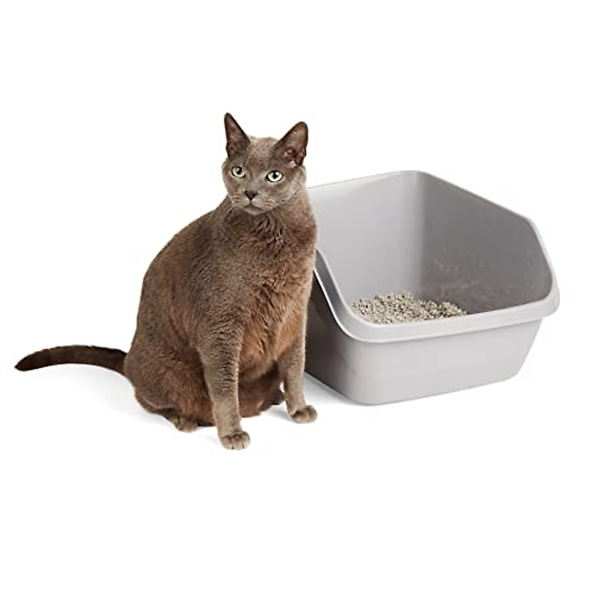 So Phresh Scatter Shield High-Back Litter Box in Gray, 18.5" L X 15" W X 8.5" H