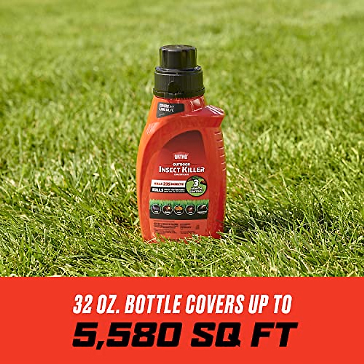 Ortho Outdoor Insect Killer Concentrate Kills Listed Ants, Spiders, Fleas & Ticks, 32 fl. oz.