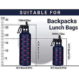 QISSZION Kids Insulated Bottle with Handle & Straw 12oz, Vacuum Stainless Steel Water Bottles Leakproof for School, BPA Free Flask Metal Thermos for Boys & Girls - Flamingo