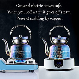 E-liu 50 oz(1500ml) Glass Teapot Kettle with Lid, Removable Stainless Steel Infuser and Handle, Stovetop Safe Tea Maker for Blooming and Loose Leaf Tea（Iridescent）