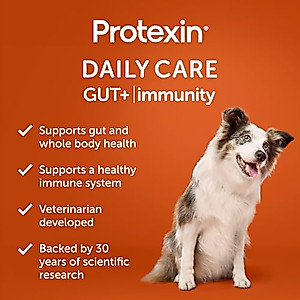 Protexin Daily Care Gut+ Immunity, 60 probiotic and postbiotic Dog Supplement Chews – Turkey and Cranberry Flavored