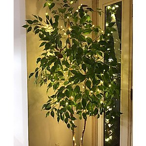 Lighting EVER Fairy Lights Plug in, 33ft 100 LED String Lights for Bedroom, Warm White Copper Wire Lights, Waterproof Indoor Outdoor Decorative Fairy Lights for Patio, Garden, Balcony, Vases, Craft