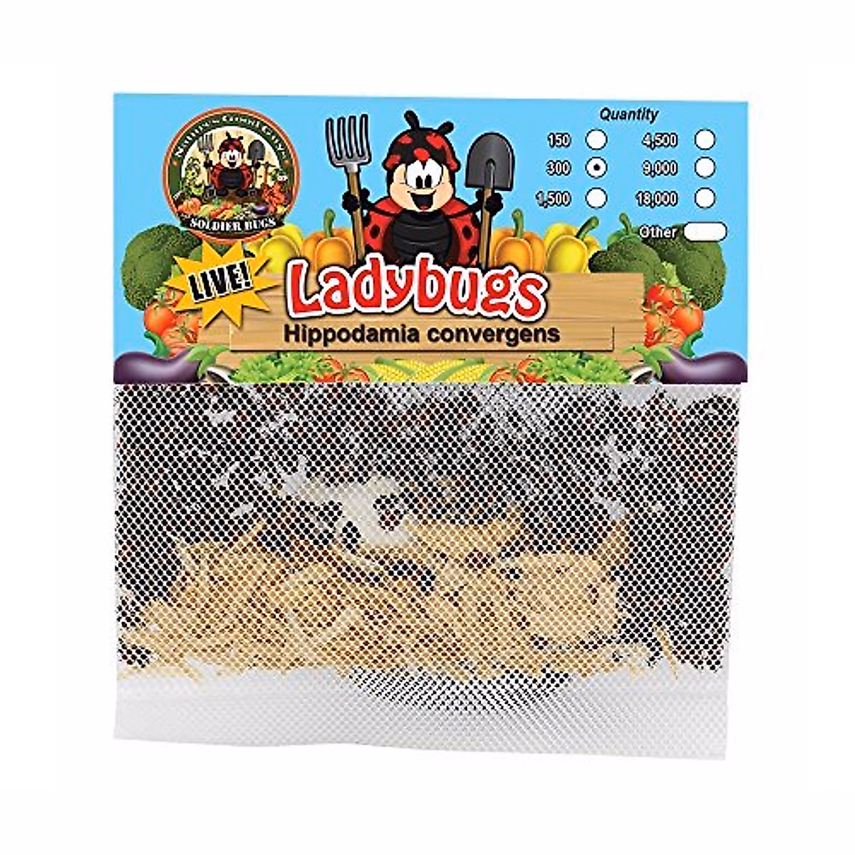 300 Live Ladybugs - Good Bugs - Ladybugs - Guaranteed Live Delivery!