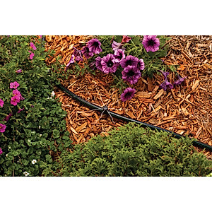 Rain Bird MBUB-F/2S Drip Irrigation 10-32 Threaded Micro-Bubbler, 360° Full Circle Pattern, 2-Pack