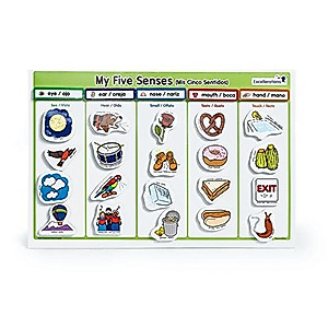 Excellerations My 5 Senses Magnetic Activity Set, 12 x 18 inches, Pack of 55, Educational STEM Toy, Preschool, Kids Toys (Item # SENSEMAG)