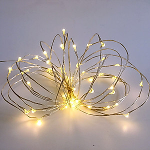 2 Pack Battery Operated Mini Led Lights,Indoor Fairy Lights with Timer 6 Hours on/18 Hours Off for Bedroom Wedding Christmas Party Decorations,30 Count LEDs,10 Feet Silver Wire (Warm White)