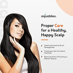 Aquableu Sweet Orange Vanilla Shampoo & Conditioner Set – Natural Moisturizing, For Dry & Damaged Hair – Sulfate & Paraben Free – For Colour Treated Hair – 16oz