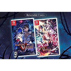 Dragon Star Varnir - Nintendo Switch