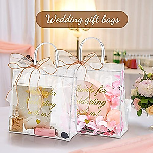 50 Pcs Clear Plastic Gift Bags with Handle Transparent PVC Plastic Gift Wrap Tote Bag Wedding Gift Bags Reusable Small Clear Gift Bags for Shopping Birthday Wedding Party Favor (10 x 10 x 3.5 Inch)