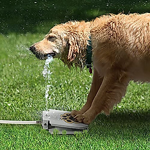 Outdoor Dog Water Fountain Step On, Dog Sprinkler Paw Activated Drinking, Dog Water Fountain with Hose, Easy to Use Pet Drinking Dispenser, Outdoor Fresh Cool Water for Dogs