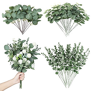 Giegxin 90 Pcs 3 Kinds Mixed Eucalyptus Leaves Stems Bulk Artificial Silver Dollar Leaves Picks Dried Eucalyptus Bundle Faux Spray for Wedding Vase Bouquet Floral Arrangement (Green)
