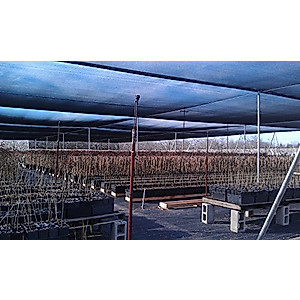 Be Cool Solutions 70% Black Outdoor Sun Shade Canopy: UV Protection Shade Cloth| Lightweight, Easy Setup Mesh Canopy Cover with Grommets| Sturdy, Durable Shade Fabric for Garden, Patio & Porch 12'x16'