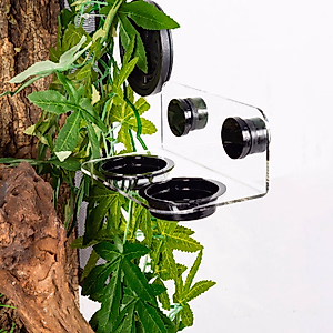 WACOOL Magnetic Reptile Ledge, Acrylic Gecko Feeding Ledge with 6PCS Cups, Reptile Food Water Feeder Dish for Geckos Iguana Chameleon Pets (White)