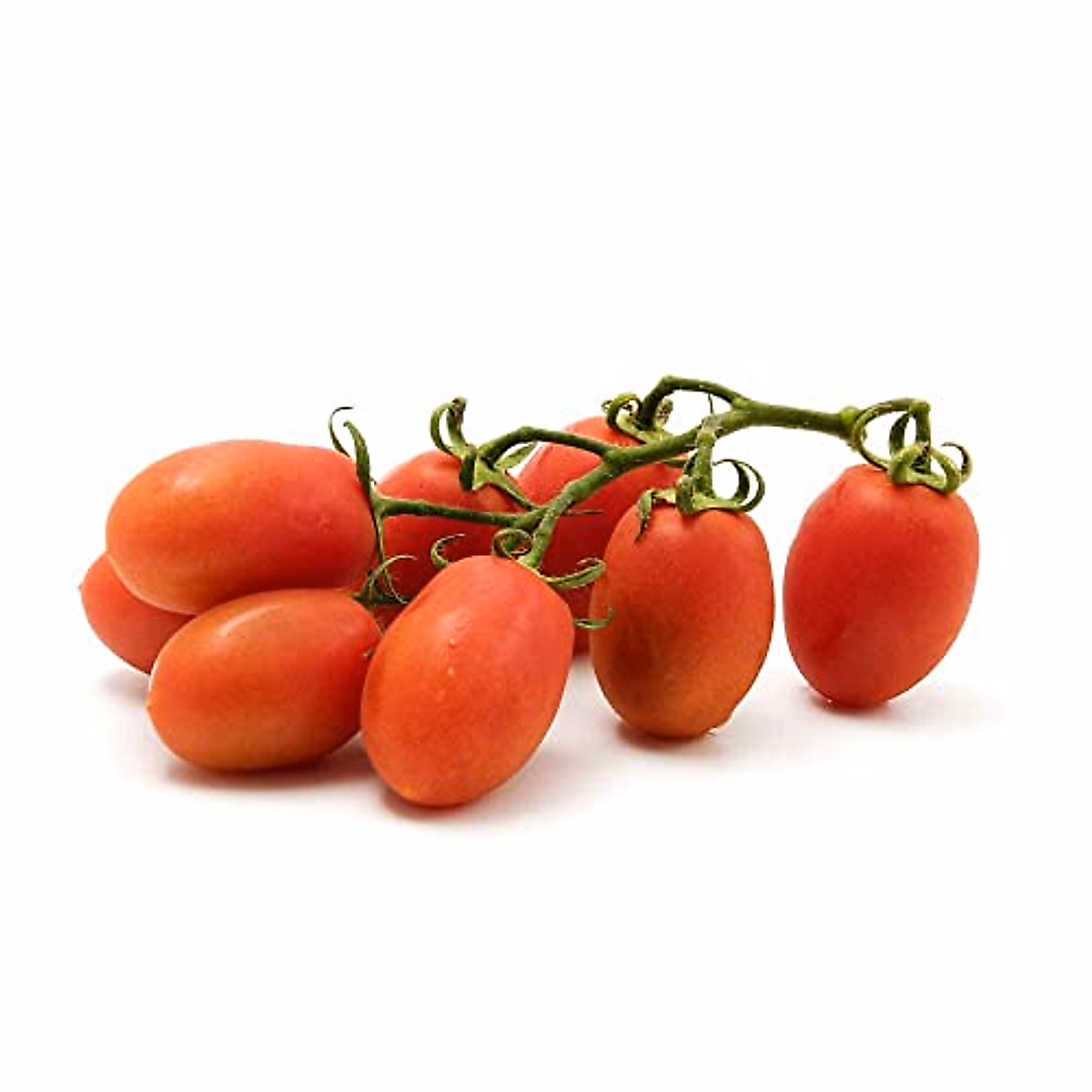 Roma Heirloom Tomato Seeds for Planting, 300+ Seeds Per Packet, (Isla's Garden Seeds), Non GMO Seeds, 90% Germination Rates, Botanical Name: Solanum lycopersicum, Great Home Garden Gift