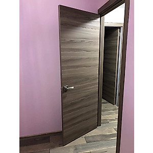 SARTODOORS Planum 0010 Interior Door Slab 36" x 80" Closet Sliding Flush Wood Ginger Ash No Pre Drilled