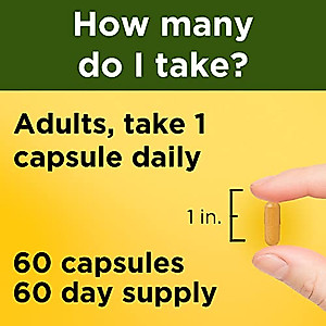 Nature Made Turmeric Curcumin 500 mg, Herbal Supplement for Antioxidant Support, 60 Capsules, 60 Day Supply