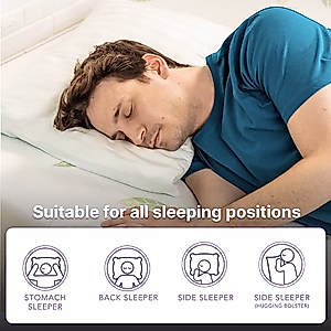 NapQueen Full Size Mattress, 10 Inch Anula Green Tea Infused Memory Foam Mattress, Full Size Mattress Bed in a Box, CertiPUR-US Certified Mattress